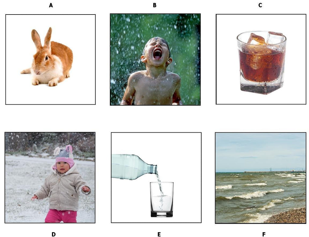 KBIT-2 practice test - The Test Tutor