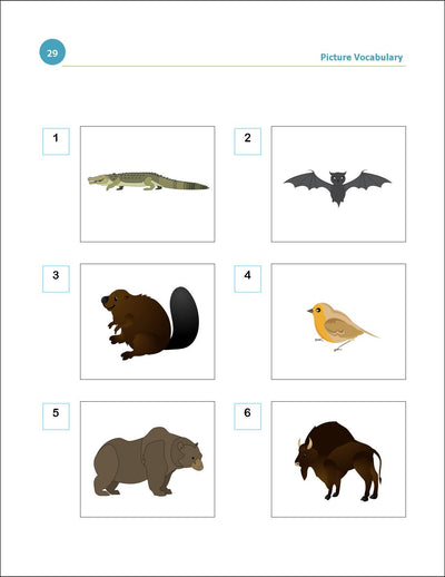 Verbal Comprehension Workbook for the WPPSI-IV - The Test Tutor